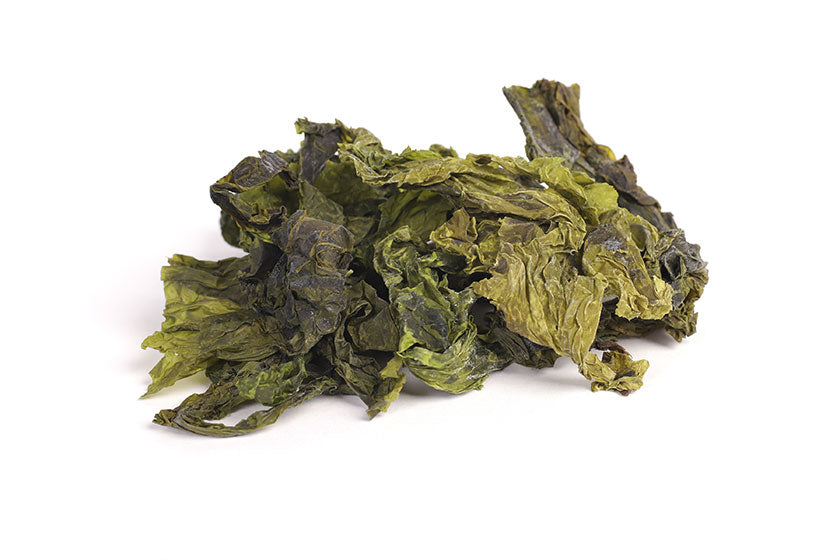 Wild North Atlantic Sea Lettuce Whole Leaf: Edible Atlantic Sea ...