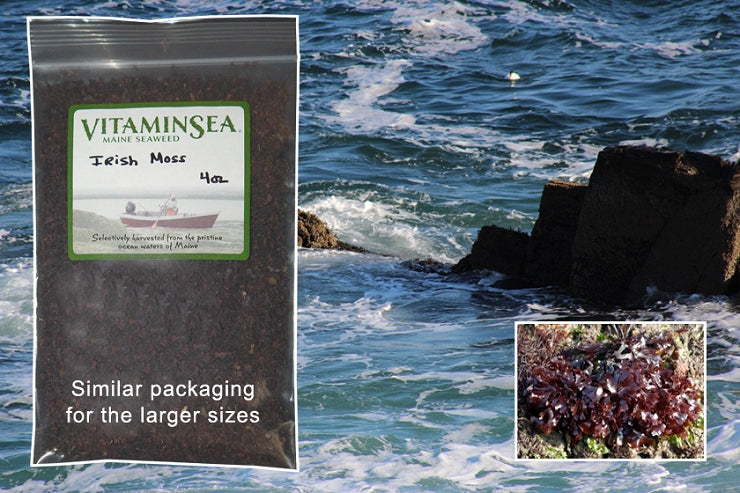Wild North Atlantic Irish Moss Seaweed Whole Leaf: Edible Sea Vegetables – Vitamin Sea Seaweed